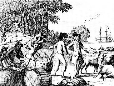 The Pirate Surgeon's Journal: Golden Age of Piracy Use of Leeches in ...