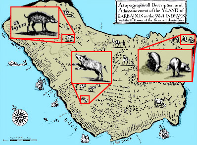 The Pirate Surgeon's Journal: Golden Age of Piracy: Barbados ...