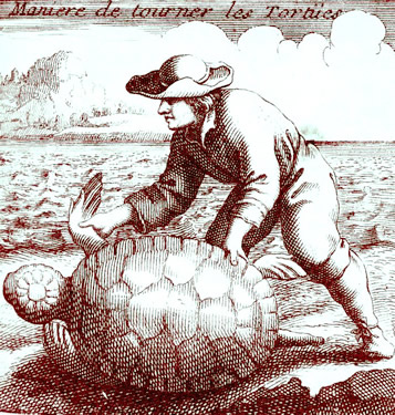 The Pirate Surgeon's Journal: Golden Age of Piracy: Obtaining Food Page 11